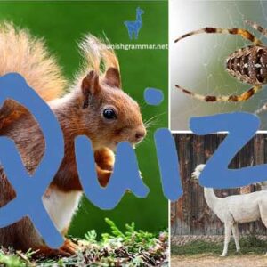 Tan vs. Tanto Quiz: Master Spanish Comparisons Online - Spanish Grammar